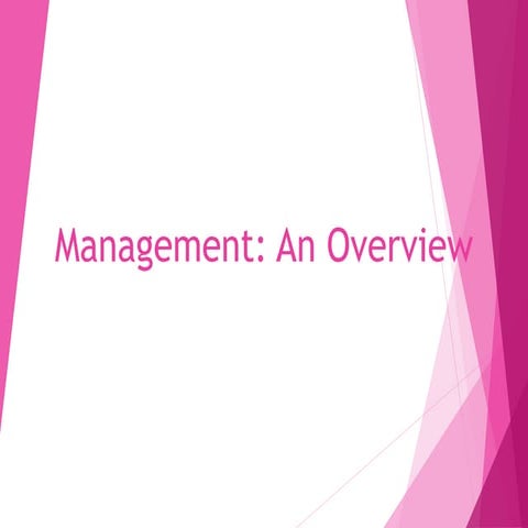 1 management_overview.ppt