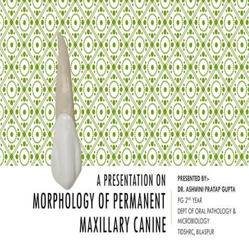 PERMANENT MAXILLARY CANINE | PPTX