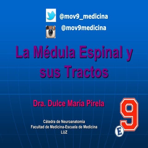 MÉDULA ESPINAL CONFIGURACIÓN EXTERNA E INTERNA | PPT