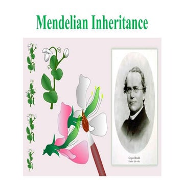 Mendelian inheritance | PDF