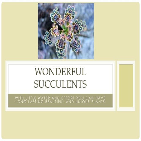 Succulents, 1 Minute PPT Brittany Thompson | PPT