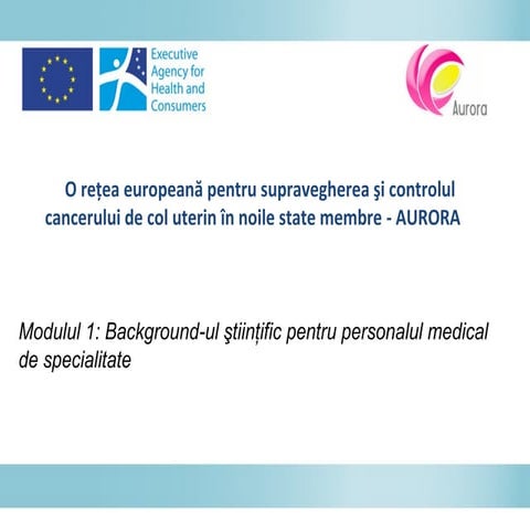 1 Module Aurora Hp Ppt