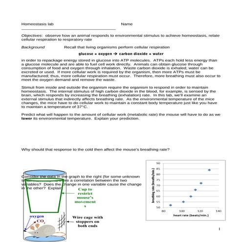 1 mouse homeostasis lab | DOC