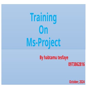MS Project Guide.pdf