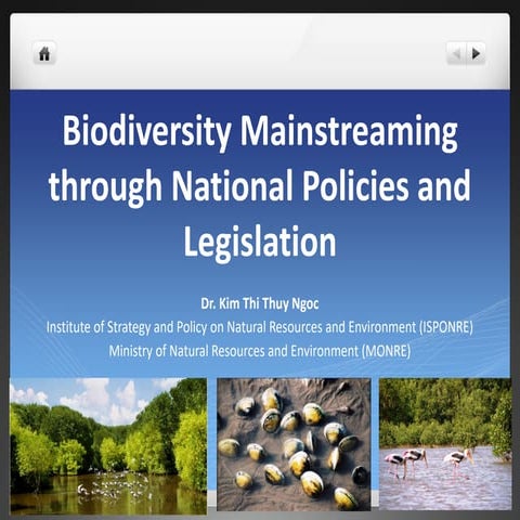 Biodiversity Mainstreaming through National Policies and Legislation | PDF