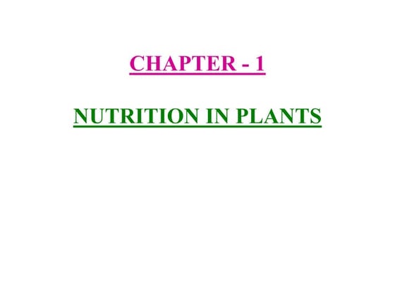Nutrition in Plants | PPT