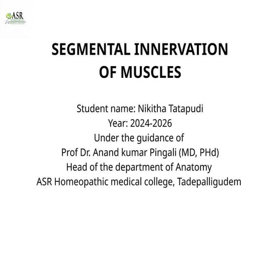 Segmental innervation of muscles by T.Nikitha | PPT