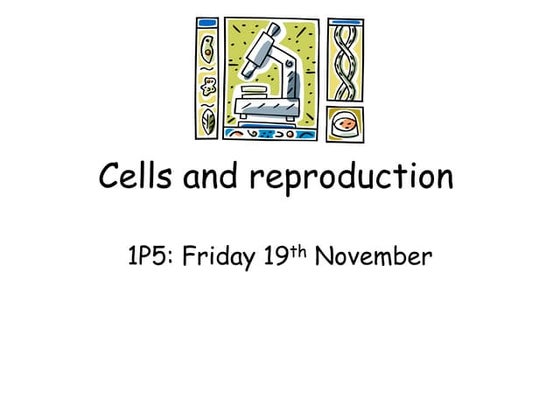 P5 Science - Plant Transport System | PPT | Gardening | Home & Garden