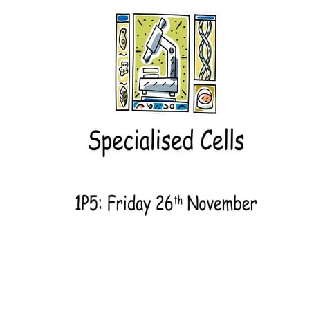 Cells-and-Organisation-L4-Specialised-Cells-PowerPoint.pptx