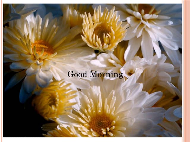 calculus.pptx in periodontology for both | PPTX