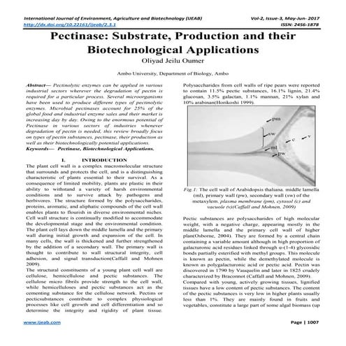 Pectinase Substrate, Production and their Biotechnological Applications | PDF