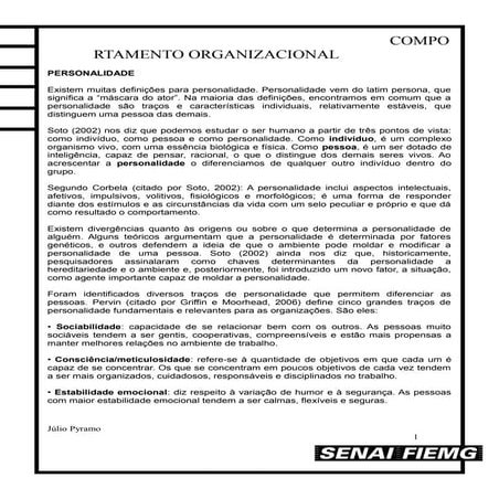Big Five - Os 5 Grandes Fatores da Personalidade.pdf
