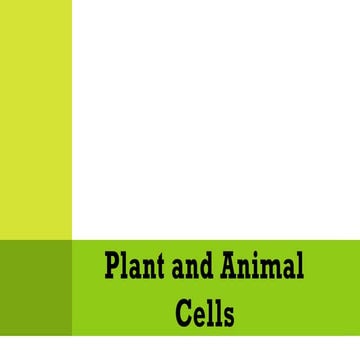 General Biology Lesson 1 Plant and Animal Cells.pptx