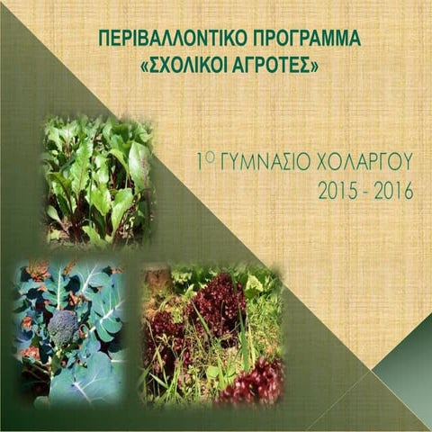 Η βιοποικιλότητα στην αυλή του σχολείου μας | PPTX