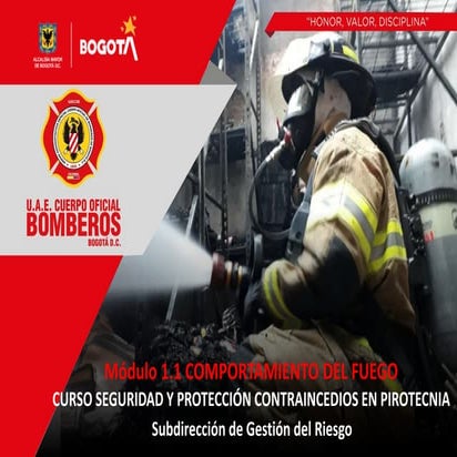 1 PPT COMPORTAMIENTO DEL FUEGO.pptx