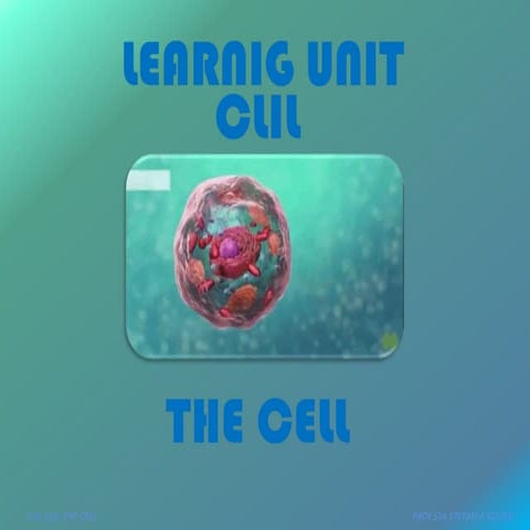1_PPT_LEARNING UNIT_THE_CELL.ppt | Biological Sciences | Science