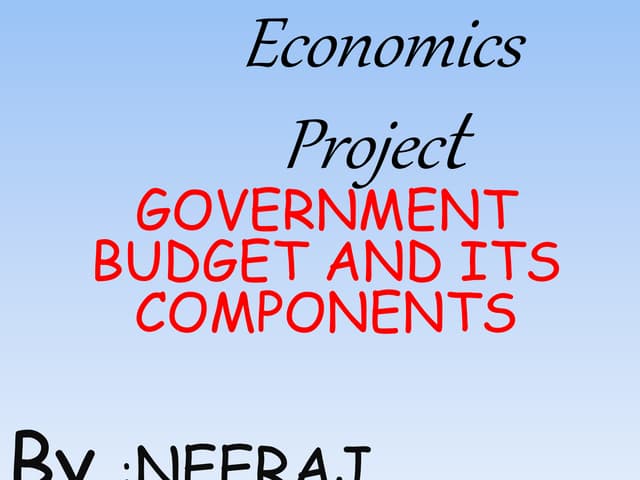 Govt Budget & the Economy class 12 .pptx