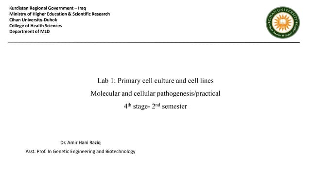 Primary and Secondary Cell Line | PPTX