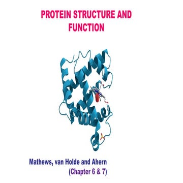 Primary and Secondary str -protein.pdf