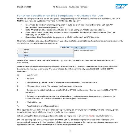1 read me fs template guidance | PDF