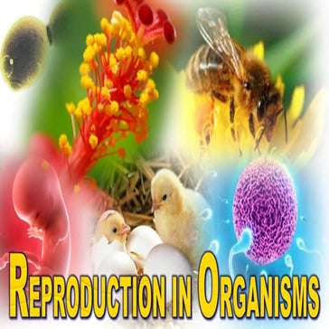 1 reproduction in organisms part 1 Asexual reproduction.pdf