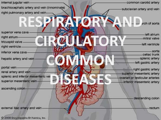 Science 9 Circulatory System | PPT
