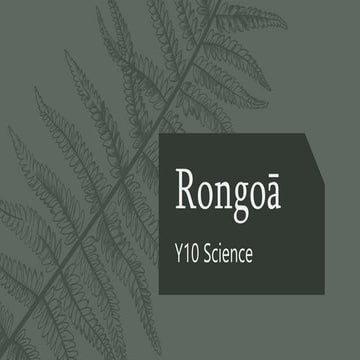 Plant research project and worksheet of english | PPTX