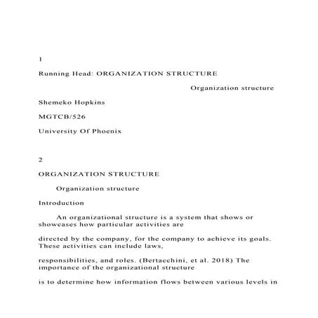 1Running Head ORGANIZATION STRUCTURE .docx