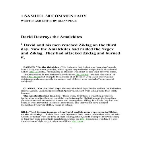1 samuel 30 commentary | PDF