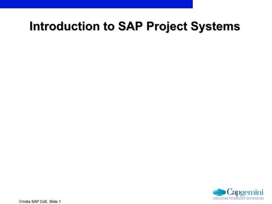 SAP PS overview | PDF | Technology & Computing