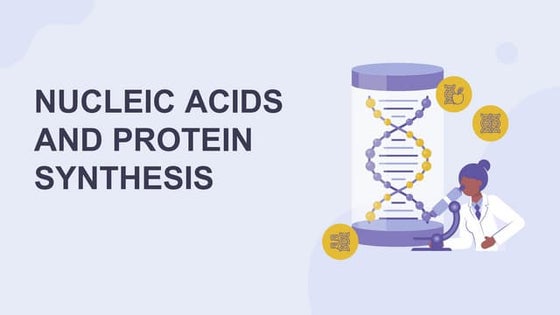 Hydrolysis_of_nucleic_acids.pptx | Chemistry | Science
