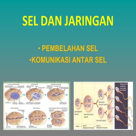1_SEL_DAN_JARINGAN_2011.ppt