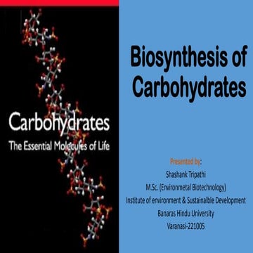 Biosynthesis of carbohydrates | PDF