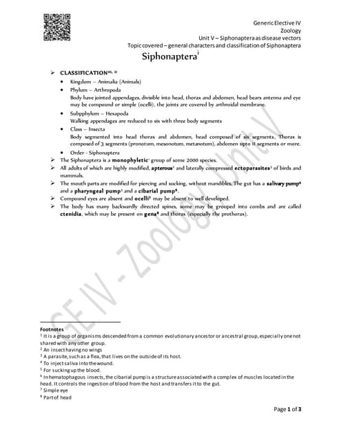 Siphunculata classification | DOCX