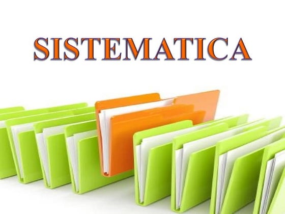 Dal paleolitico | PPT