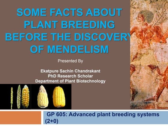 Forward and reverse genetics | PPT