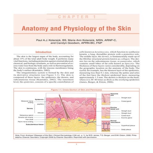 Skin | PDF