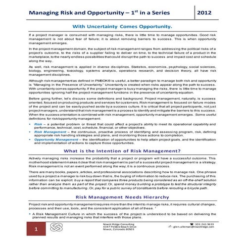 Managing risk as Opportunity | DOCX
