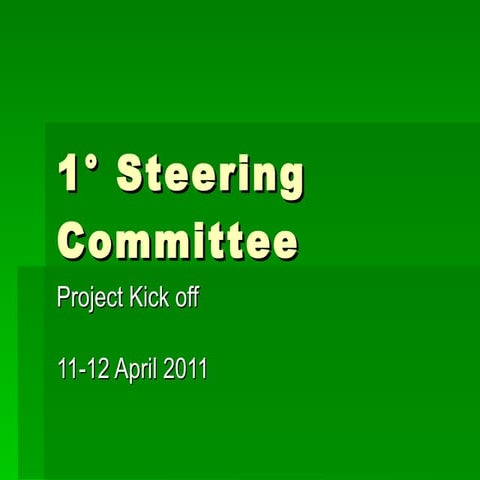 1° steering committee | PPT