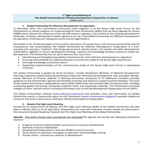1st high level meeting of the global partnership for effective ...