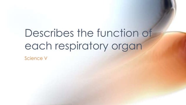 The respiratory system | PPT