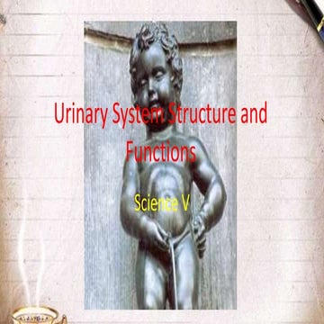 1st science 19 urinary system structure and functions | PPTX