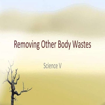 1st science 21 removing other body wastes | PPTX