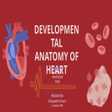 1st ppt developmental anatomy of heart.pptx