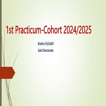 1st Practicum-Cohort presentation 2024.pptx