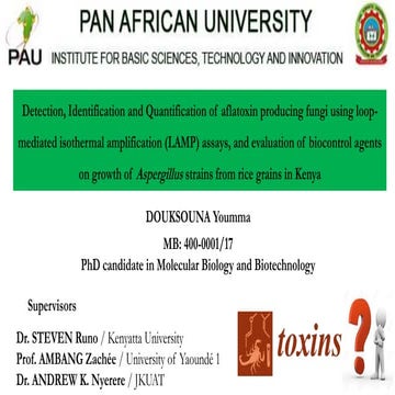 1st progress report Pauisti These PhD.pptx