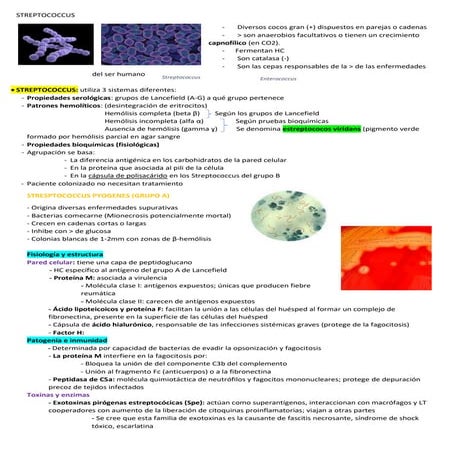 Enfermedades estreptoccicas | PPTX