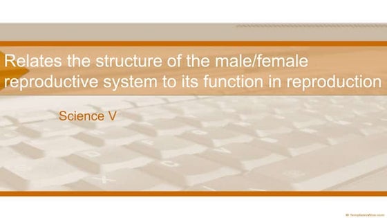 Male reproduction organs | PPTX