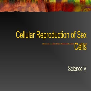 Mitosis Cell Division Ppt