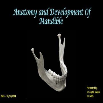 Development, anatomy and growth of mandible | PPT